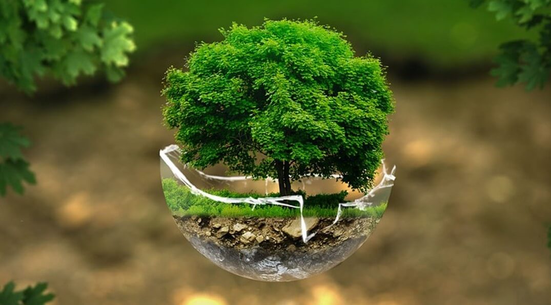 Biodegradables: Agradables para el mundo - Nacional de Empaques Desechables